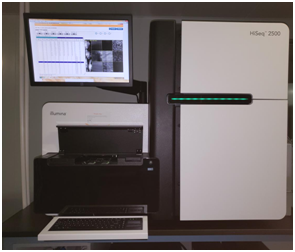 测序平台 - 中国农业科学院农业基因组研究所